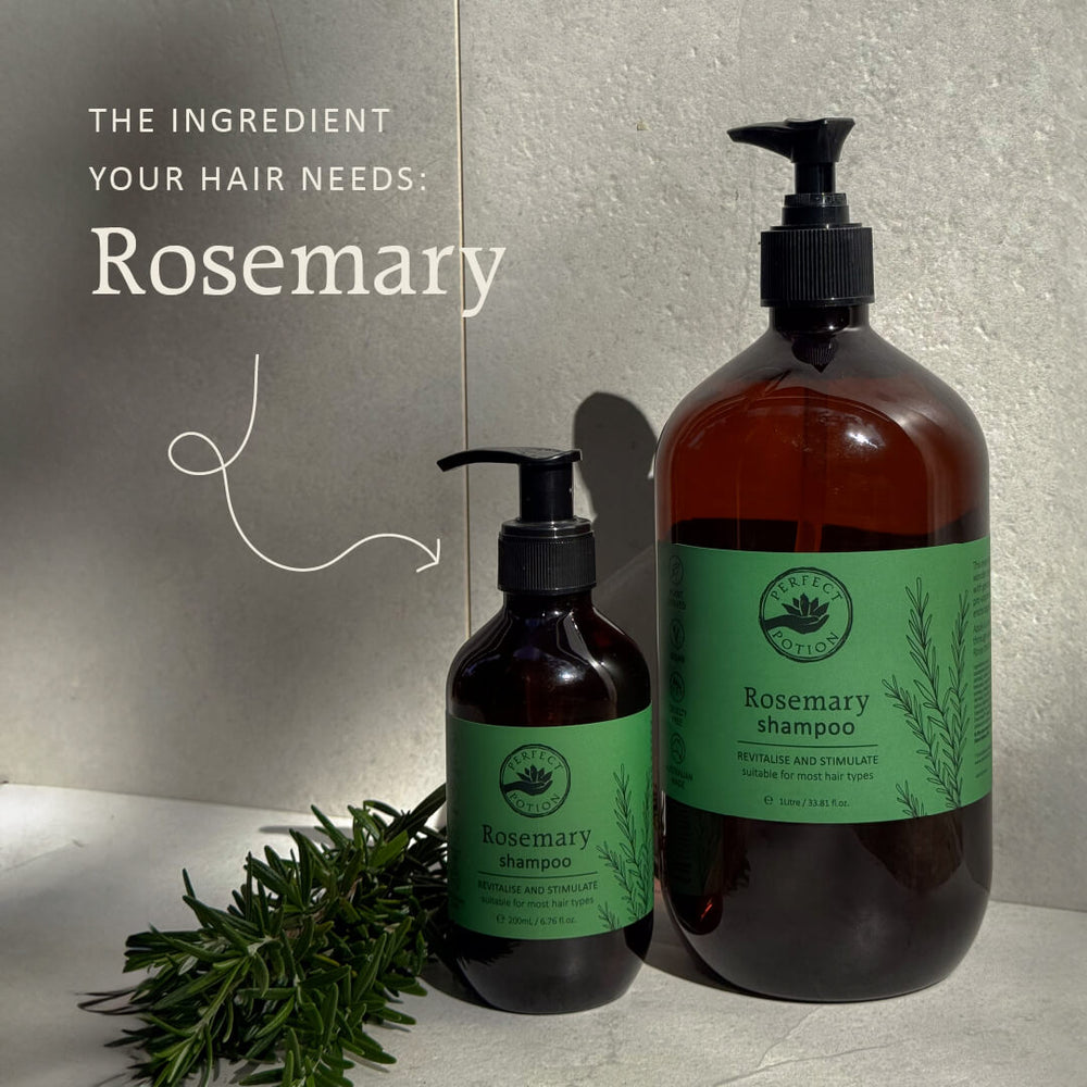 Rosemary Shampoo 500mL - Perfect Potion