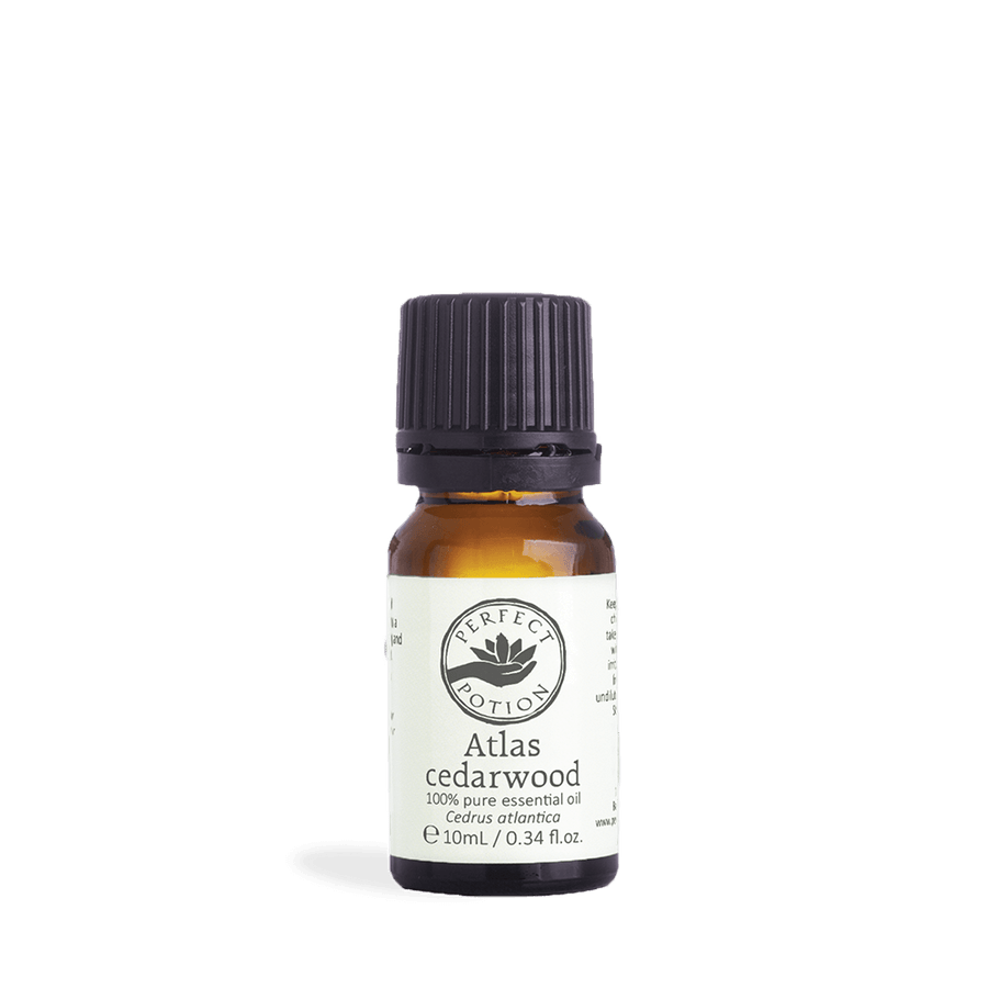 Atlas Cedarwood Pure Essential Oil | Perfect Potion