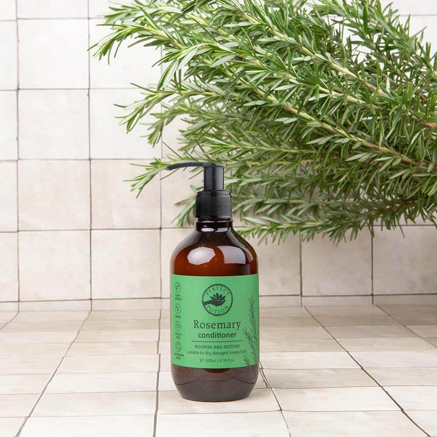 Rosemary Conditioner 200mL - Perfect Potion