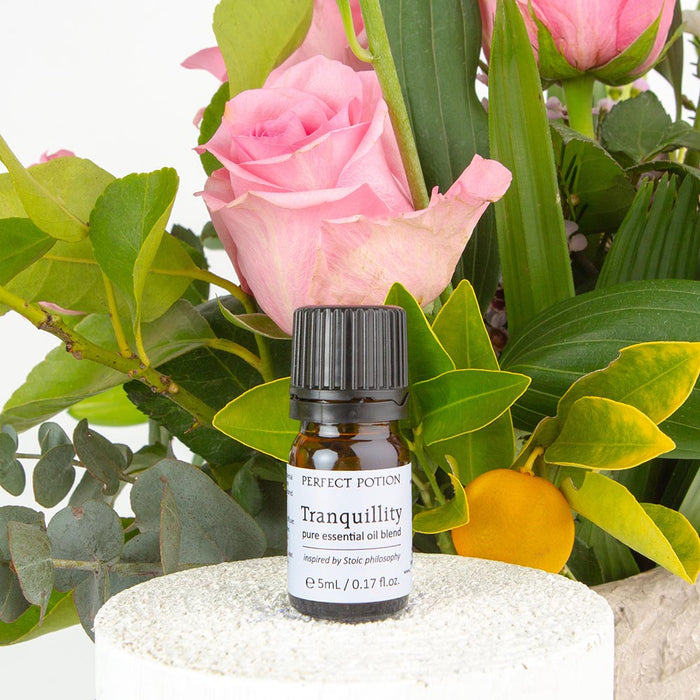 Tranquillity Pure Essential Oil Blend - Perfect Potion