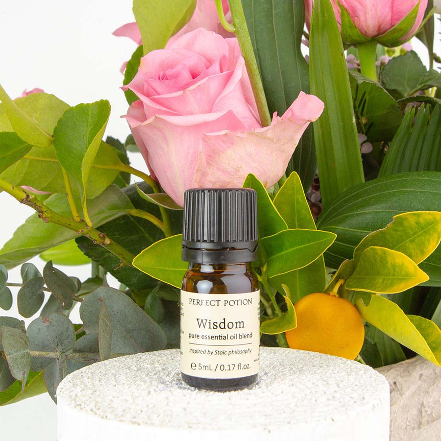 Wisdom Pure Essential Oil Blend - Perfect Potion
