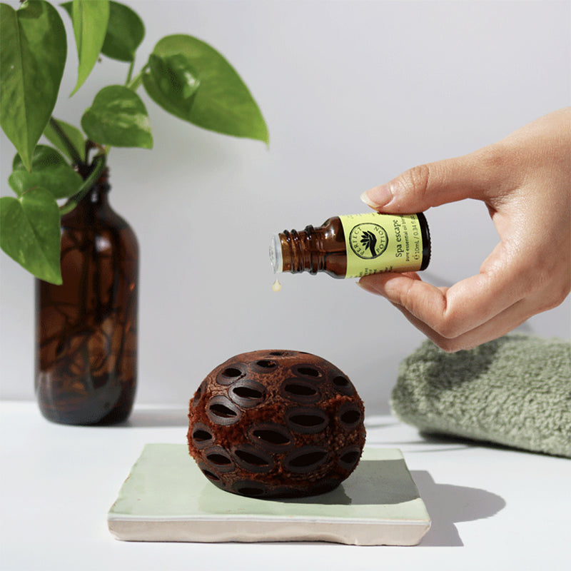 Banksia Scent Pot | Aromatherapy Supplies Aus | Perfect Potion