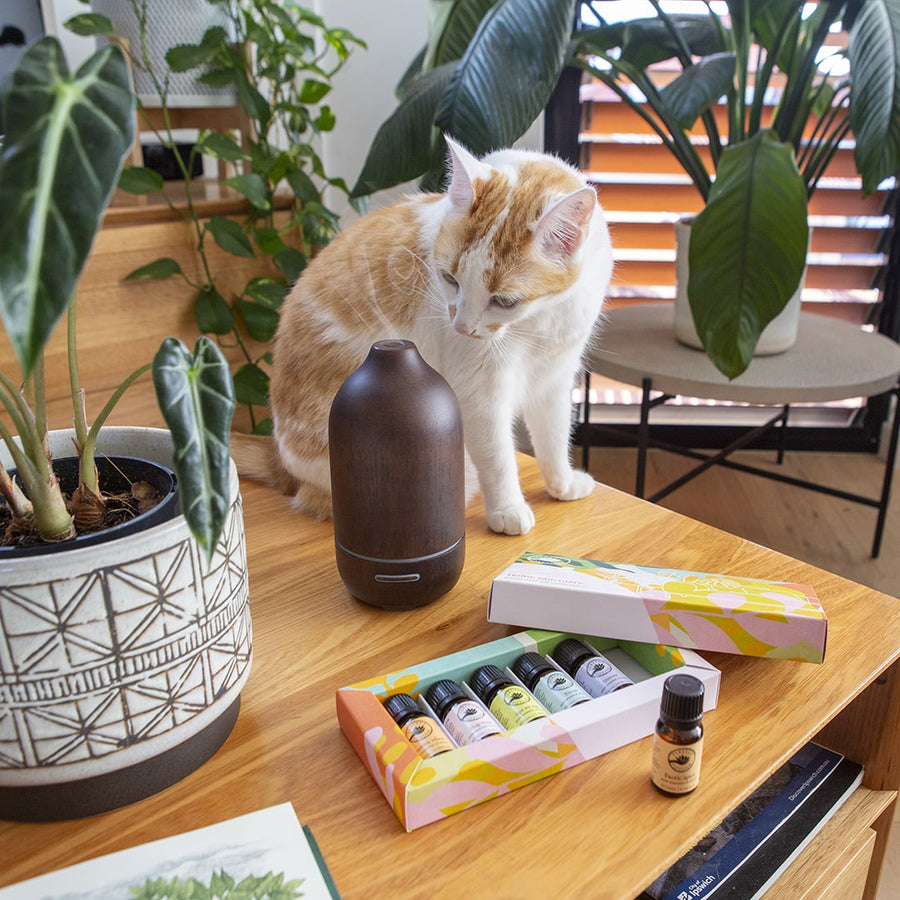 Diffusers | Aromatherapy Oil Diffuser | Perfect Potion